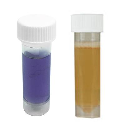 How to Test for E. Coli & Coliform Bacteria In Water - WaterTestingKits.com