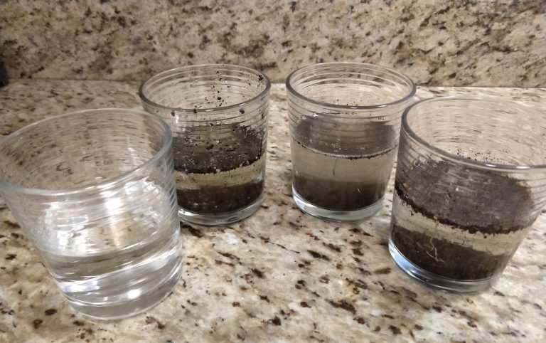 Dirty Water – A Fun Science Project for Kids