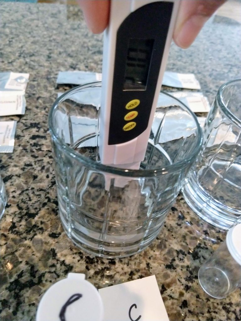 Fun Fall Science Experiment with Leaves