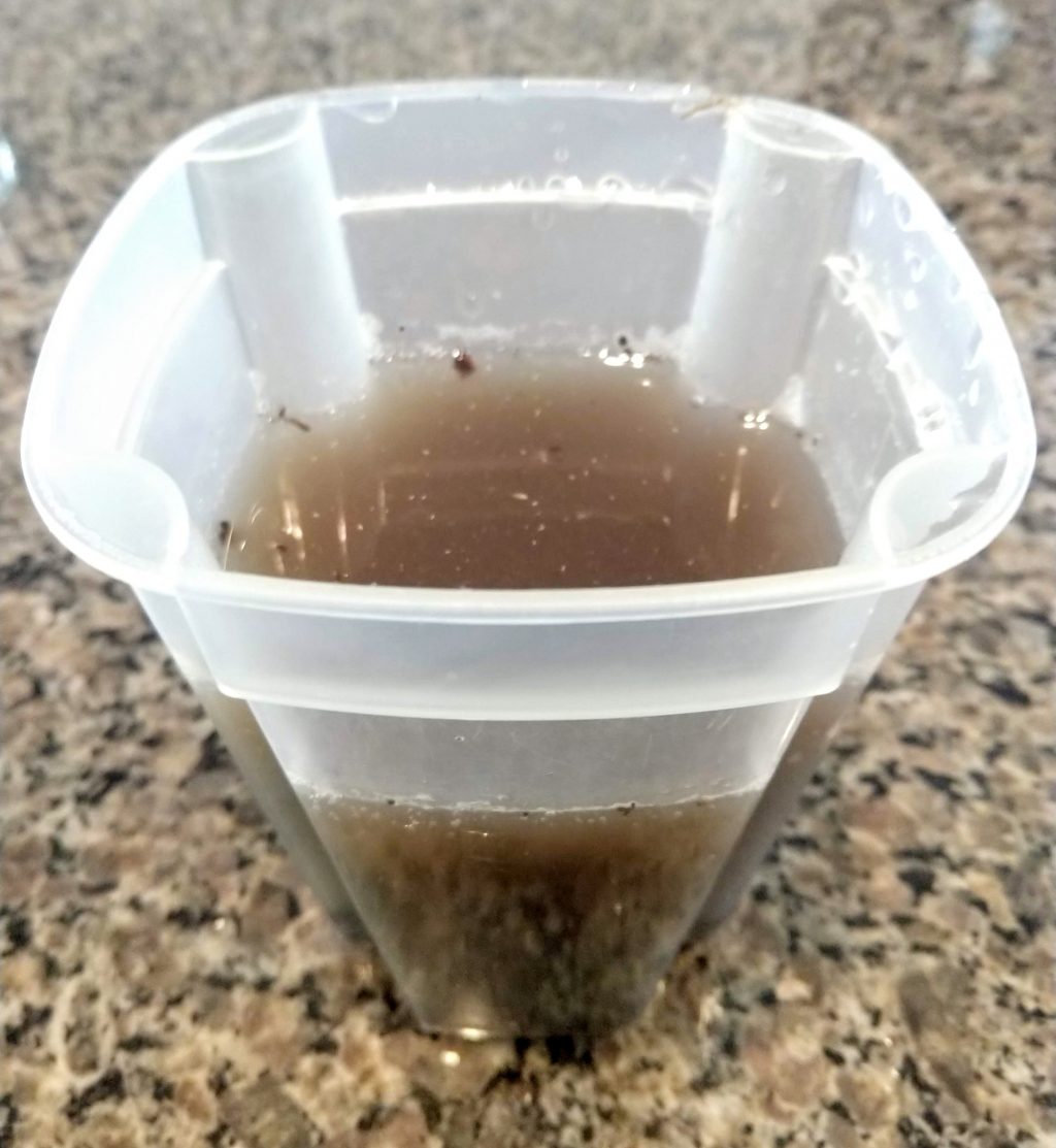 A Science Experiment for Kids: Testing Homemade Water Filters